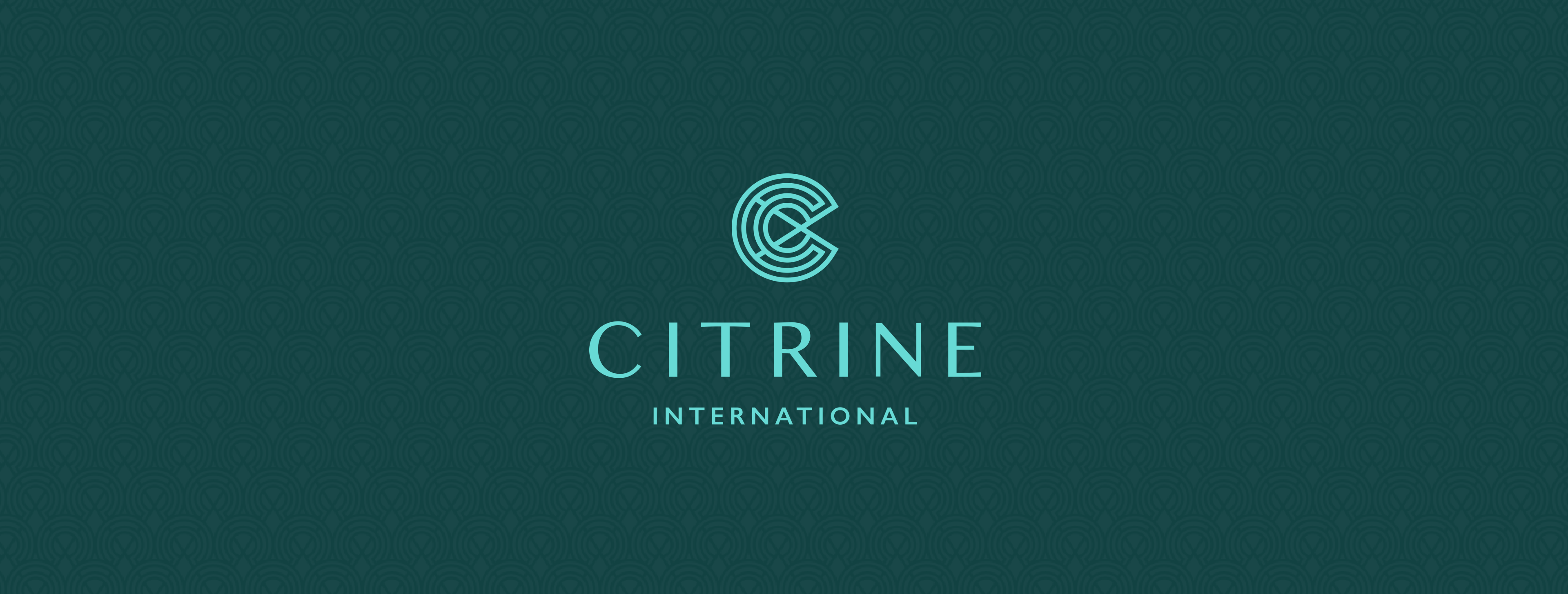Who We Are | Citrine International | Boutique Tax Advisory and Compliance